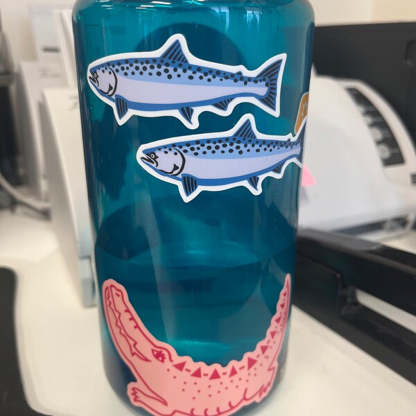 Crappie Sticker High-quality, Durable Freshwater Fish Fishing Decal for ...