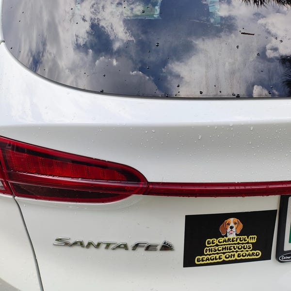 Lovely, Mischievous Beagle Car Magnet - Etsy