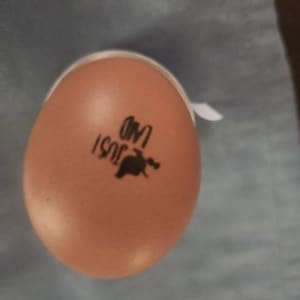 Choose 2 Egg Stamps Mini Egg Stamp Homesteading Farm Stamp Egg Marking ...