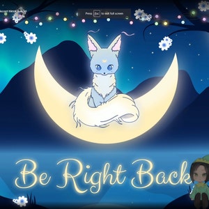 Animated magical Night Complete Stream Bundle | Etsy