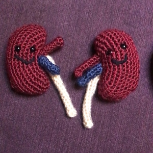 Kidneys Crochet Pattern, Kidney Crochet Pattern, Kidney Amigurumi ...