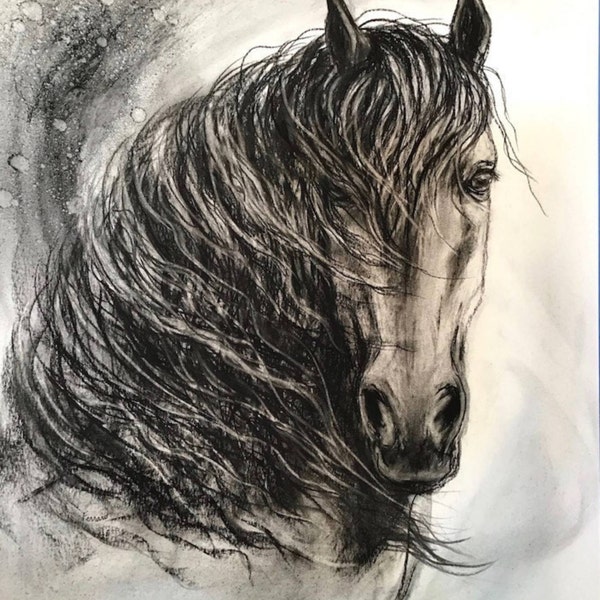 Original Horse Charcoal Drawing-original Illustration-original Horse ...