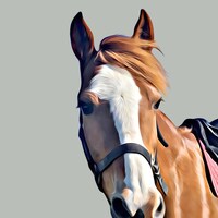 Horse Physical Assessment Form | Horse Bodywork | Equine Form | Horse ...