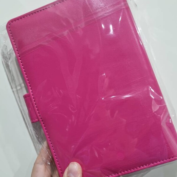 You Totally Can 1.5K Savings Binder Save & Stuff Budget With Ira - Etsy