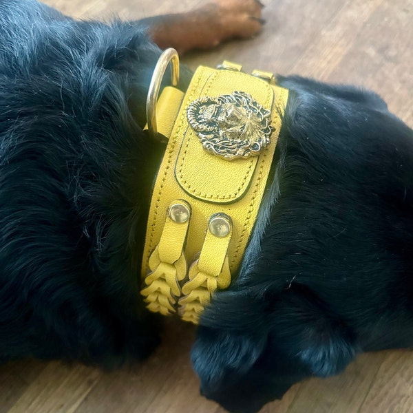 Extreme Collars Handmade Dog Collars Personalized Collars Dog Gift ...