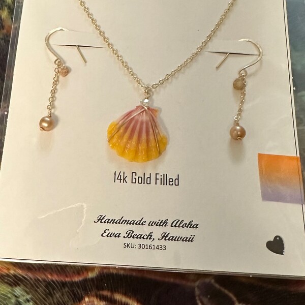 False Star Limpet Opihi Shells for Jewelry Making From Kauai - Etsy