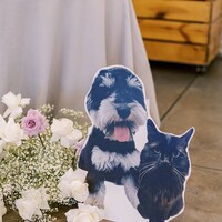 Custom Full Body Pet Cut Outs, Cardboard Cutout Dog or Cat, Birthday ...