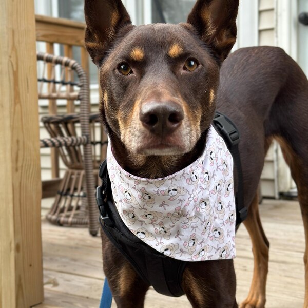 Rainbow Doxie, Curved Neck Snap on Dog Bandana, Winter Pet Collar ...