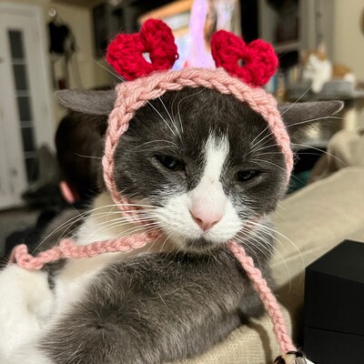 Crochet Pattern: Valentines Day Heart Headband for Cats With Ear Holes ...