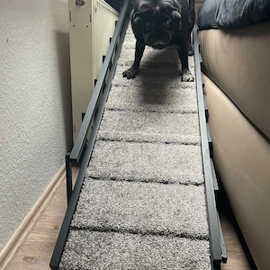 Pet Ramp With Foldable Rails Extra Front Rail - Etsy