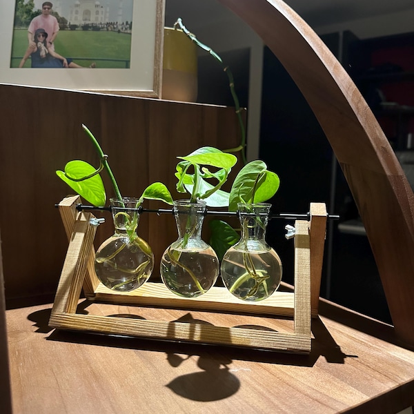 Plant Propagation Station Gift - Hydroponic Station for Growing Plant ...