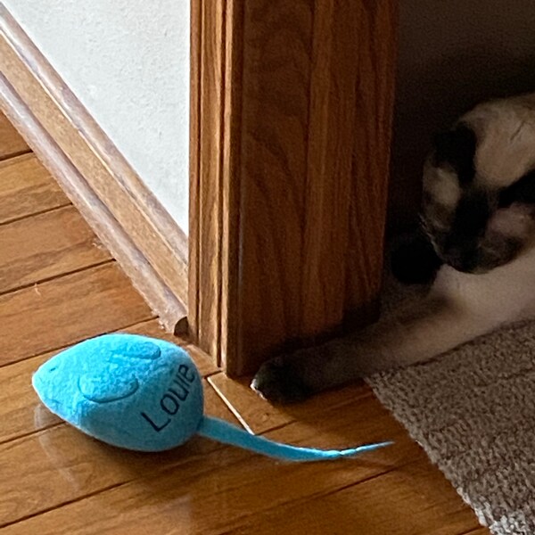 Personalized Cat Toy Mouse With Catnip Two Sizes Small and Large - Etsy