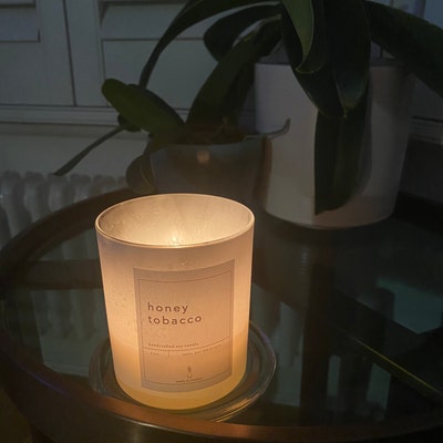 MANGO Reed Diffuser Botanical Reed Diffuser Tropical Scented Room ...