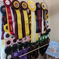 Dog Show Ribbon Holder Display Dog Show Award Rack Dog Show Ribbon ...