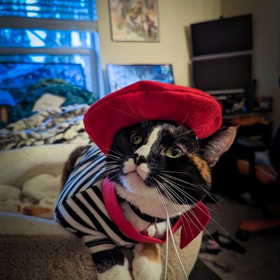 French Look Outfit Set Pet Beret Hat, Red Scarf, Black White Striped T ...