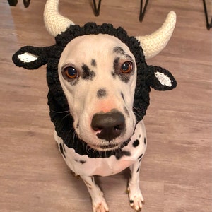 Monkey Dog Snood Knit Crochet Dog Hat Halloween Dog - Etsy