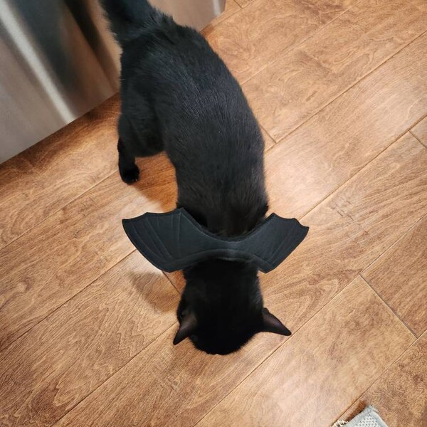 Cat Bat Wing Costume Cat Apparel / Clothing Pet - Etsy Norway