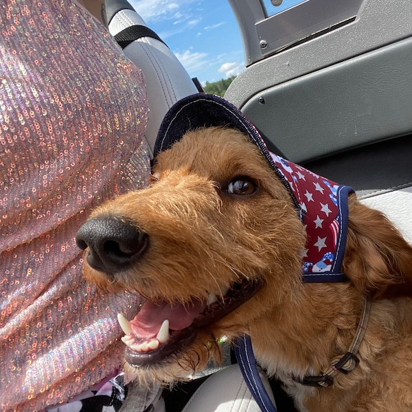 Dog Hat - Patriotic Puppy - Etsy
