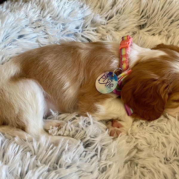 Kona Watercolor - Pet Tag Double Sided - Tie Dye - Customized Dog Tag ...
