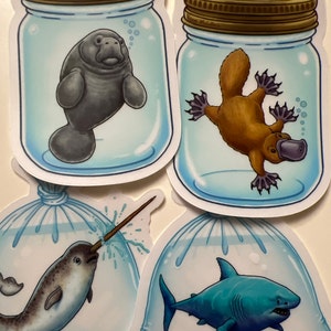 GREEN TREE PYTHON Sticker Pack Cute Snake Stickers: Clear, Holo, Vinyl ...