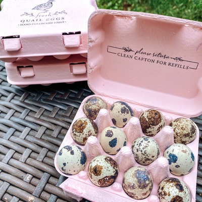 30 Vintage Chicken Egg Cartons - Etsy