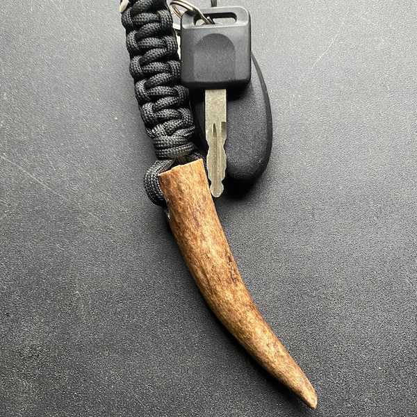 Moose Antler Base Dog Chews-large - Etsy