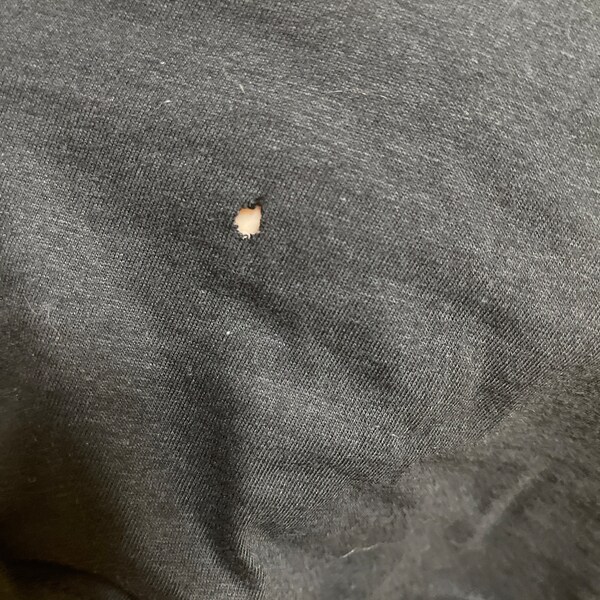 Wolf Ripping Shirt, Funny Meme Shirt, Sitting Wolf, Gift for Friend ...