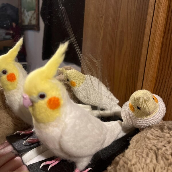 Cockatiel ・1 :wool Parakeet stuffed Animals - Etsy
