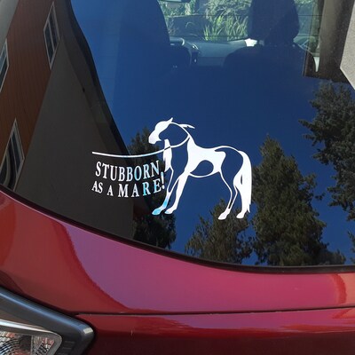 Paint War Pony Decal stubborn as a Mare Equine, Horse Vinyl Decal ...