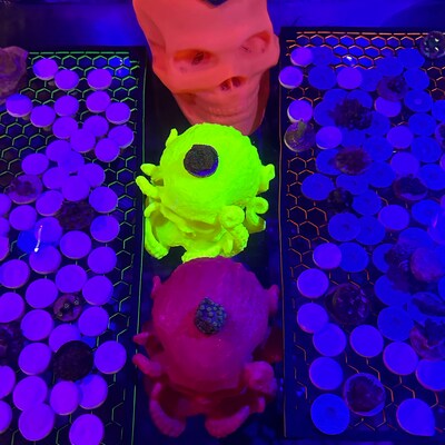 Nano Frag Table 2pac / Two Included Freestanding Frag Rack With Screw ...