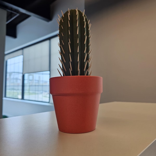 3D Printed Cactus Toothpick Holder – Unique Home Decor & Functional ...