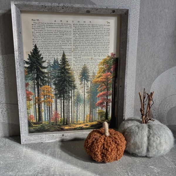 Three Wise Monkeys Dictionary Art Print Set, See No Evil, Hear No Evil ...