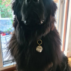 Custom ID Tags for Dogs & Cats Charlie Pet Collar ID Dog | Etsy