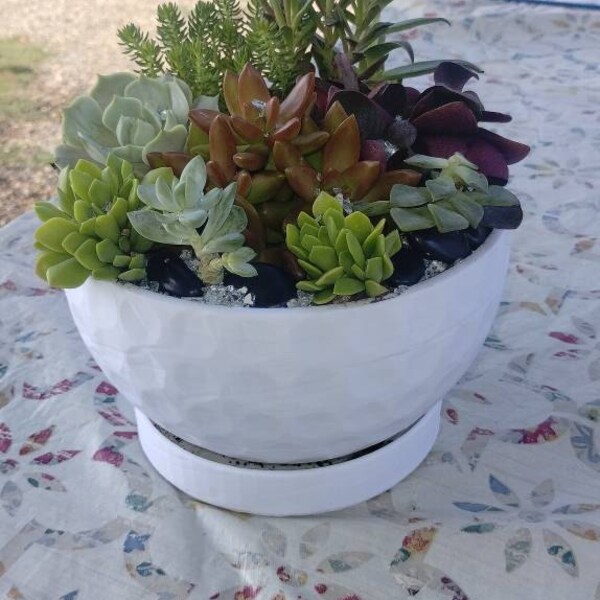 Medium Sized Golf Ball Themed Planter With Drainage - Etsy