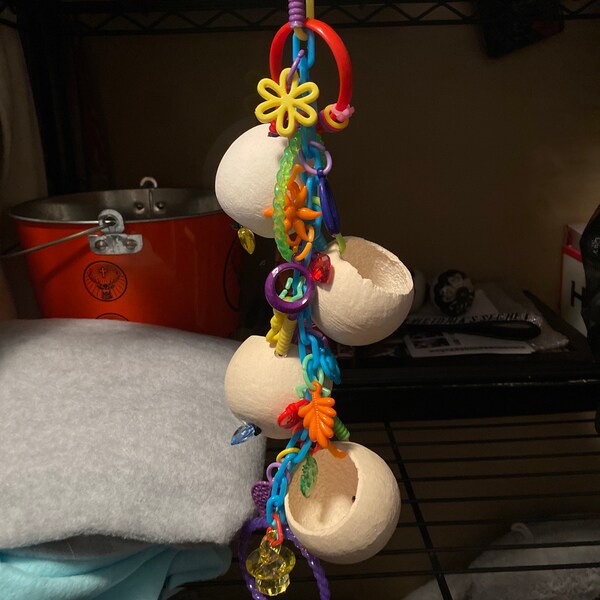 Natural Gourd Cup Forager - Sugar Glider Toy Sugar Bear Toy, Pocket Pet ...