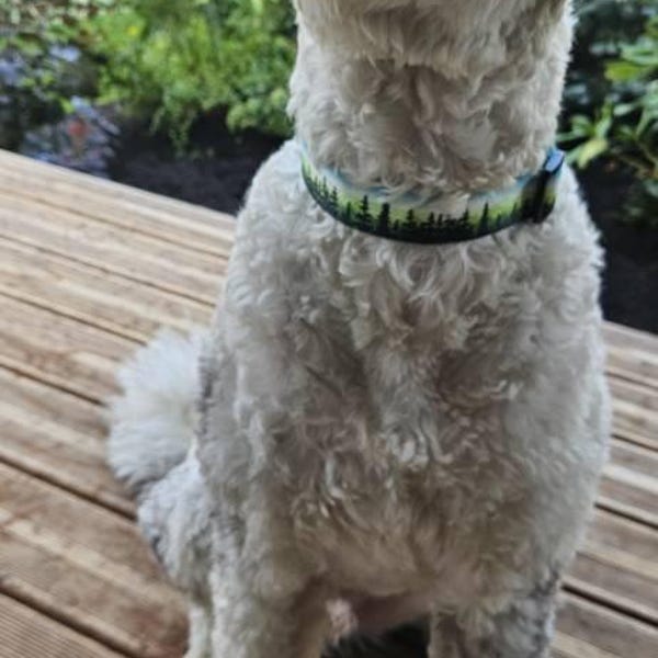 Treeline Dog Collar - Trees | Forest | Nature | Outdoors - Etsy