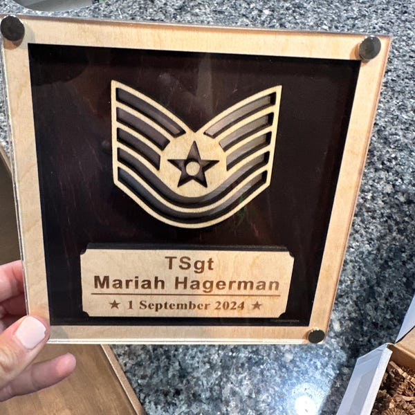 Air Force Promotion Gift Plaque, Military Promotion Gift for Officer or ...