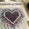 Exploding Heart Quilt Kit Using Tula True Colors Fabrics - Etsy