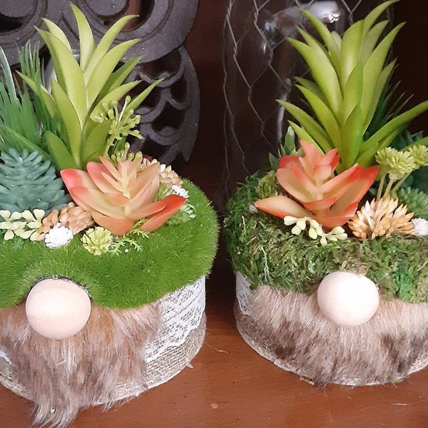 2024 Color Trend Faux Succulent Gnome - Etsy