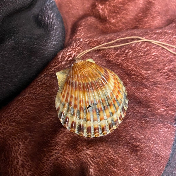 Colorful Scallop Shell Pendant on Cord Necklace (extra Small, Small ...
