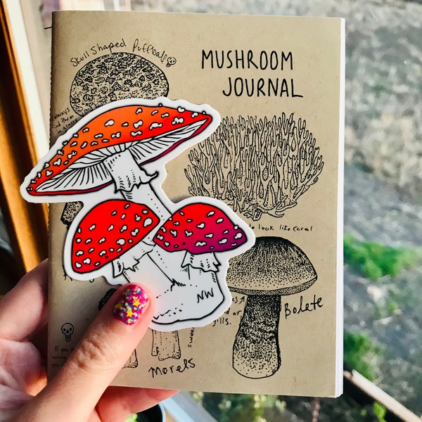 Mushroom Journal FORAGING Field Guide Notes for Edible Mushrooms Zine ...