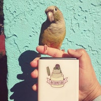 Green Parrotlet Screaming YEET T-shirt, Parrot Lover Tee, Bird Owner ...