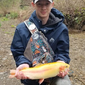 6 Sparkle Wing RS2 Fly Fishing Flies. Midges and Emergers. Trout Flies ...