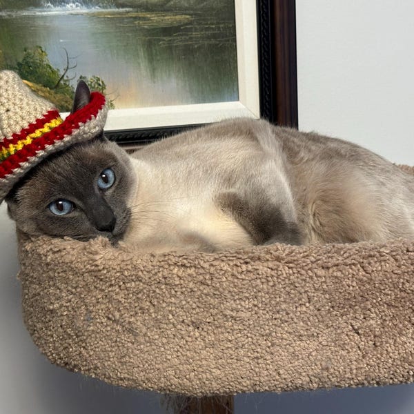 Devil Dog Costume, Devil Horns for Large Breed Dogs, Red Devil Dog Hat ...