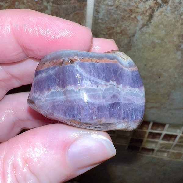 GEODE / THUNDEREGG Rock Clamp - for Slab & Rock Saw's - Etsy