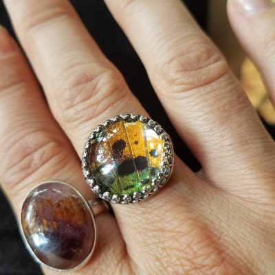 Real Moth Wings Ring Cool Rings Sunset Moth Taxidermy Ring Weird Stuff ...