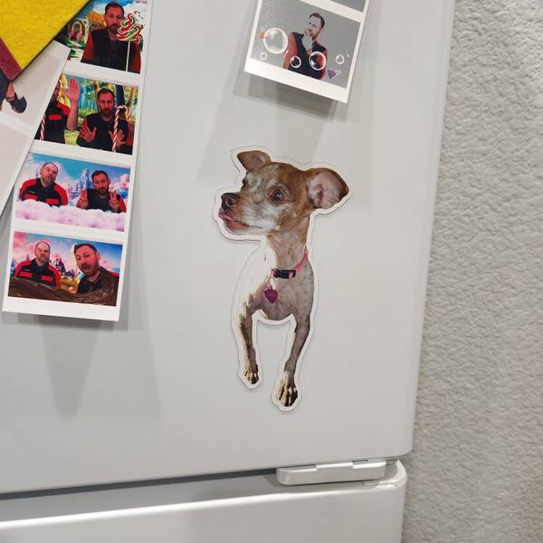 Custom Shaped Fridge Magnet Photo Prints Turn Your Pet Family and ...