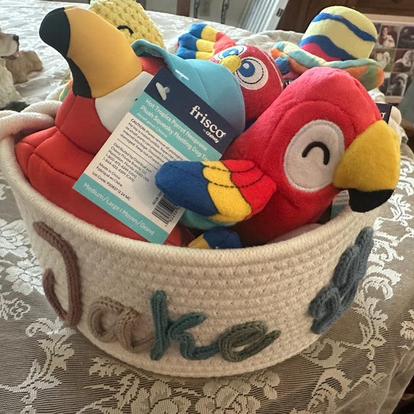 Custom Toddler Backpack | Preschool Backpack | Toddler Book Bag ...