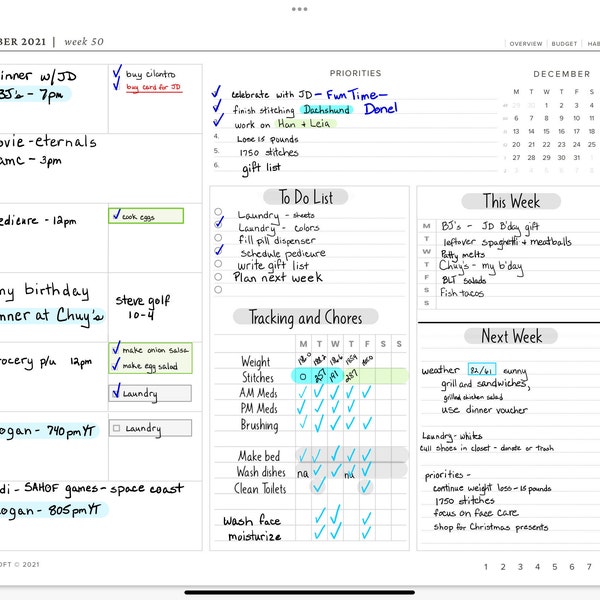 Digital Study Planner Template, Undated Digital Student Planner, iPad ...