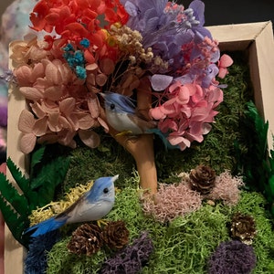 Real Dried Mix Moss Craft Making Moss for Crafts Fairy Garden Moss ...